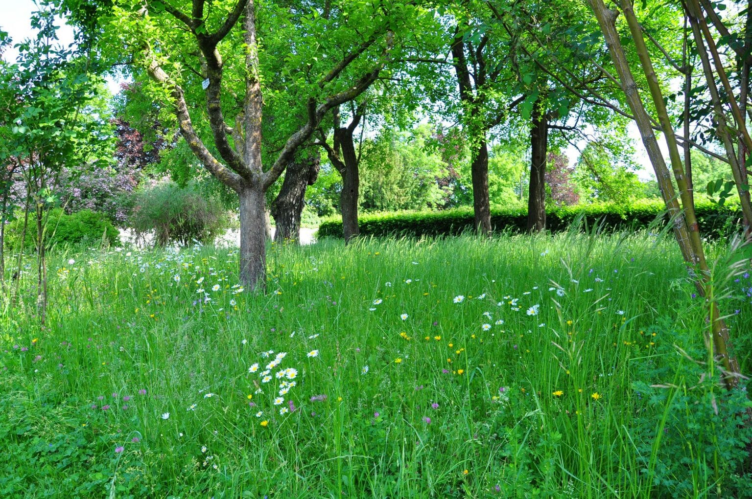 Natur im Garten ⋆ Stift Seitenstetten
